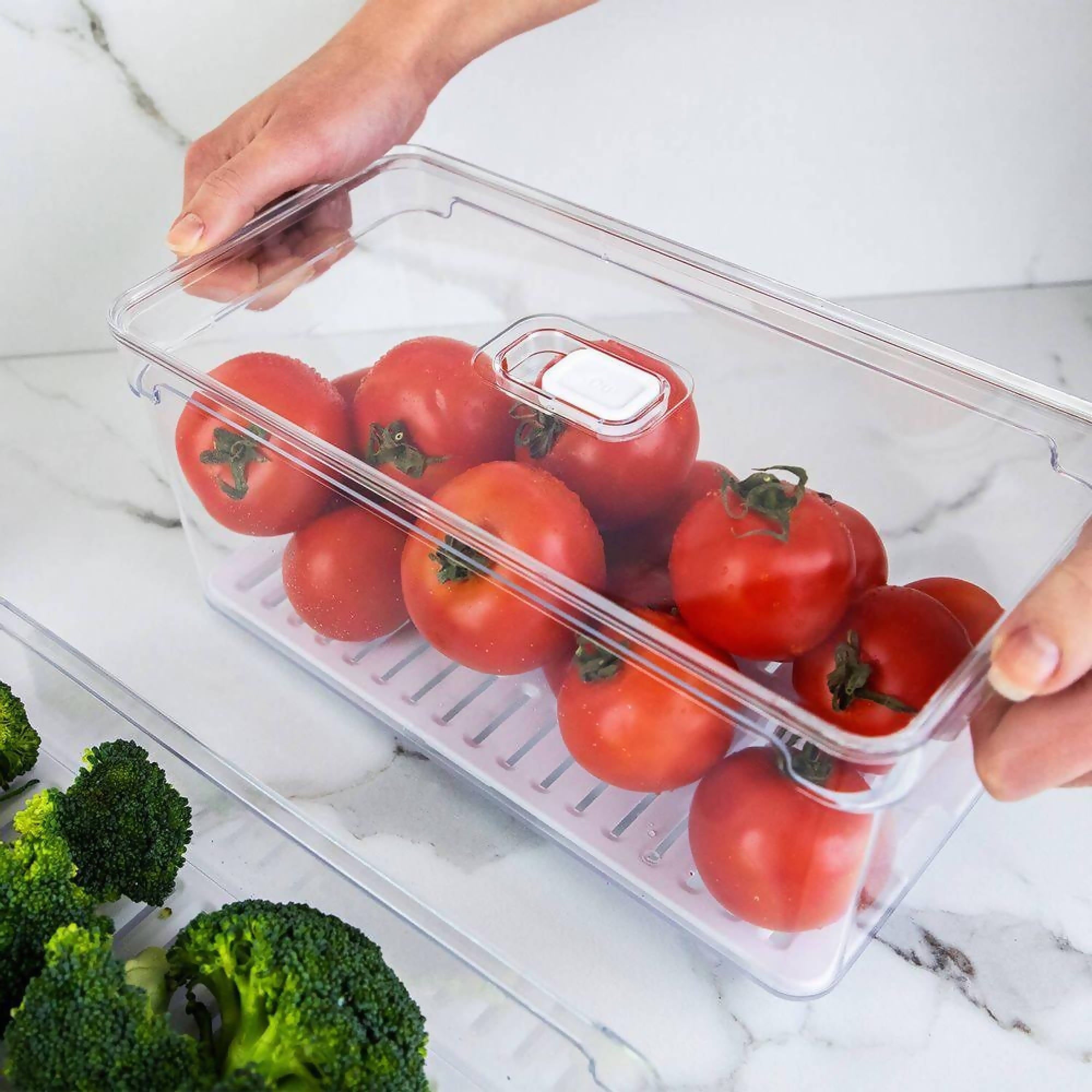 Organizador de Refrigerador Clear Fresh 5 Lt 30 x 15 x13 Cm – Kitchen ...